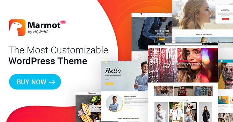 Marmot Theme Pro Multipurpose WP Theme